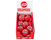 Foodservice Cheese Products & Flavors | Bel Brands Foodservice